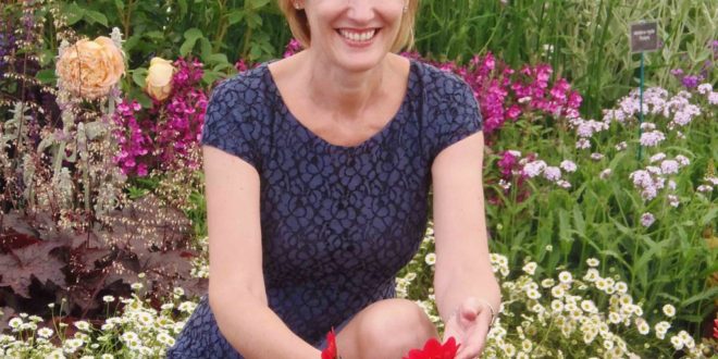 Squire’s Garden Centres names new chairman – Housewares